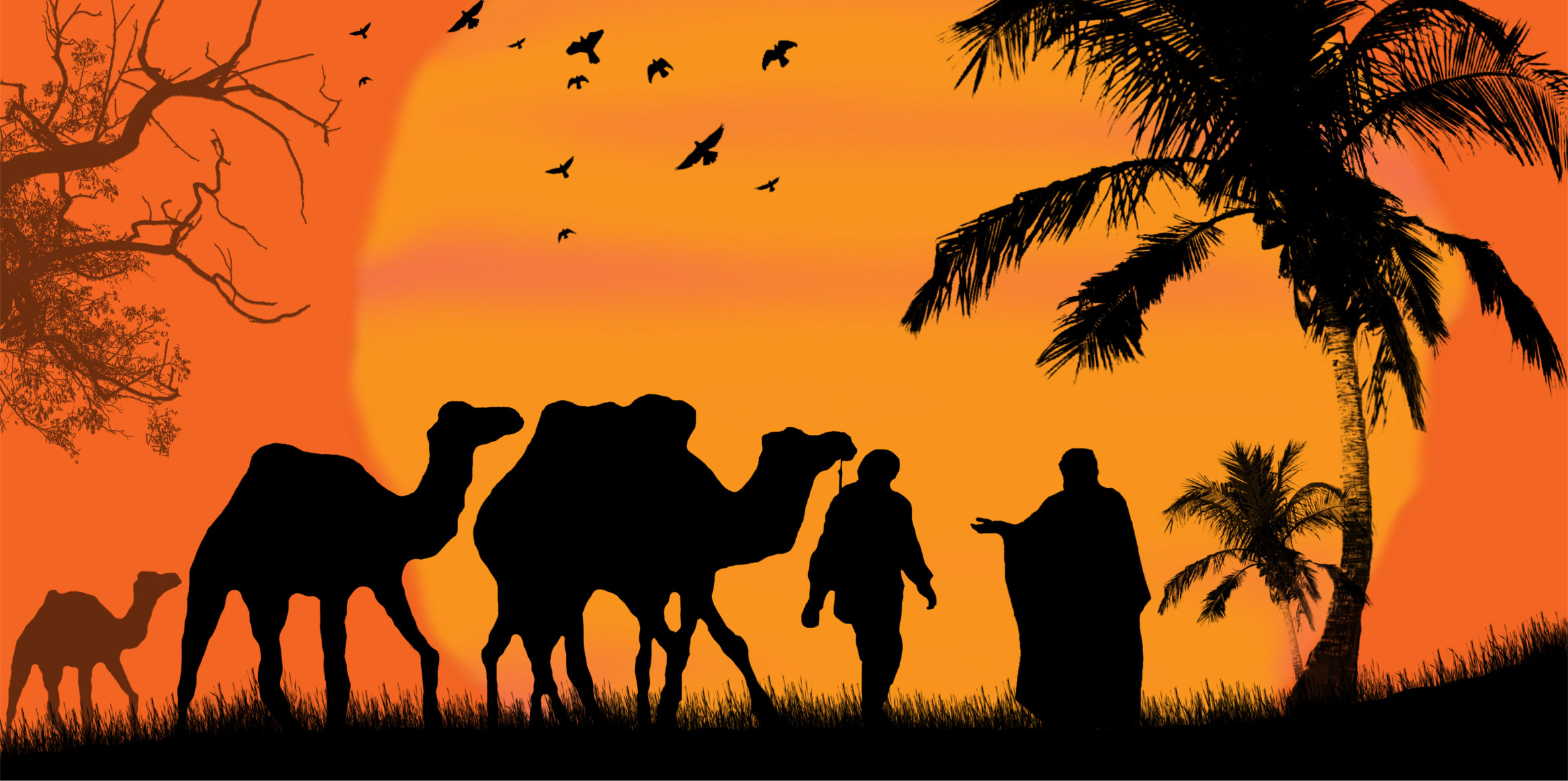 20x10ft Silhouette Backdrop